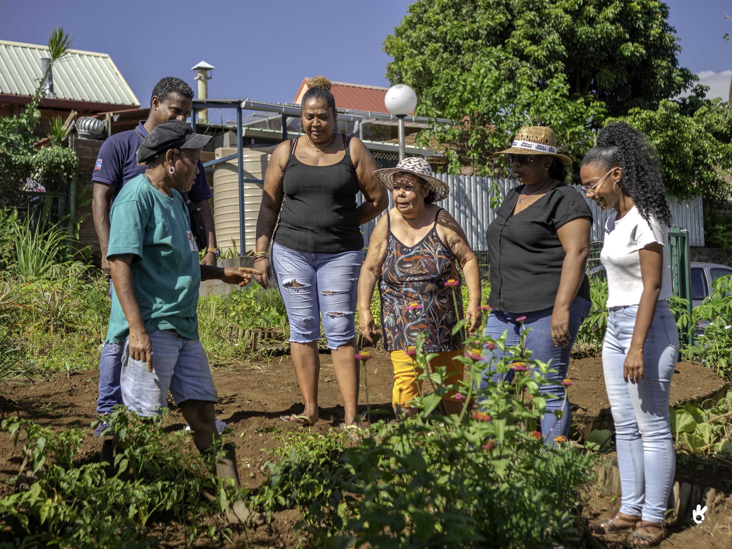 Les jardins partagés : entre solidarité et économie (vidéo) - Semader